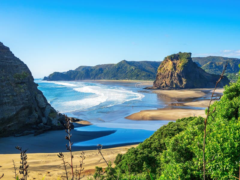 Piha Beach and Lion Rock on Sunny Day Stock Illustration - Illustration ...