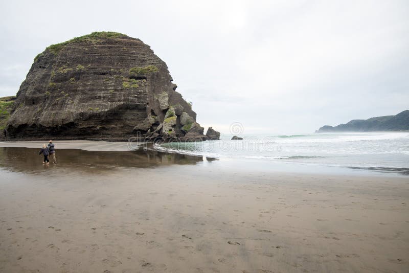 Piha Beach stock image. Image of auckland, island, sand - 323382405