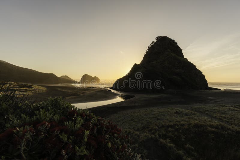 Piha Beach, NZ stock image. Image of headland, auckland - 83443417