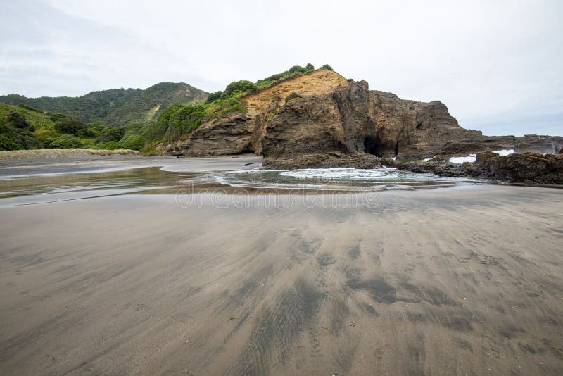 Piha Beach stock photo. Image of shore, auckland, surf - 323382396