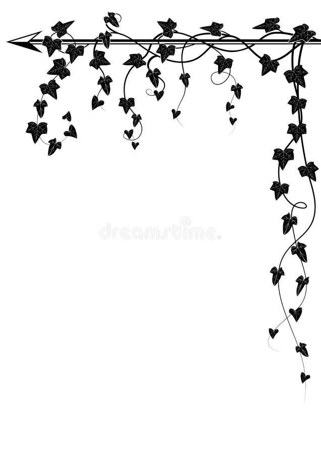 Het frame van de klimop vector illustratie. Illustration of zwart ...
