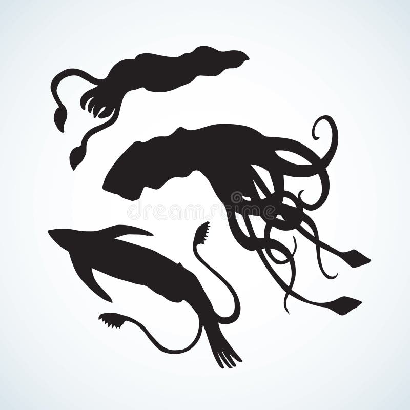 Pijlinktvis Vector Tekening Vector Illustratie - Illustration of ...