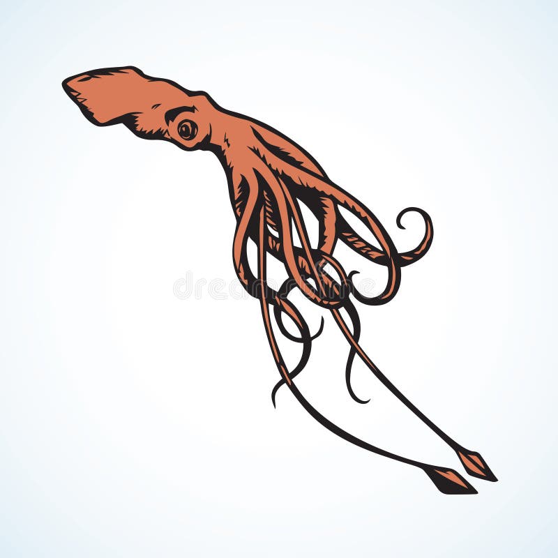 Pijlinktvis Vector Tekening Vector Illustratie - Illustration of vissen ...