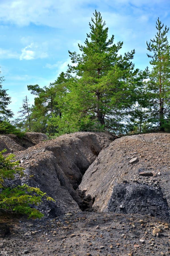 Rand van een ravijn stock foto. Image of naughty, groen - 9604386