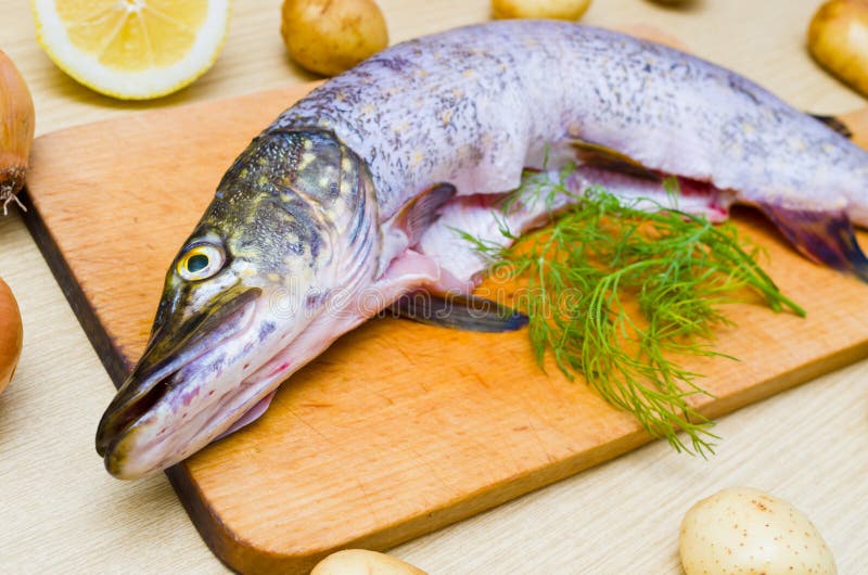 Pike stock photo. Image of cooked, homemade, fish, fried - 25070998