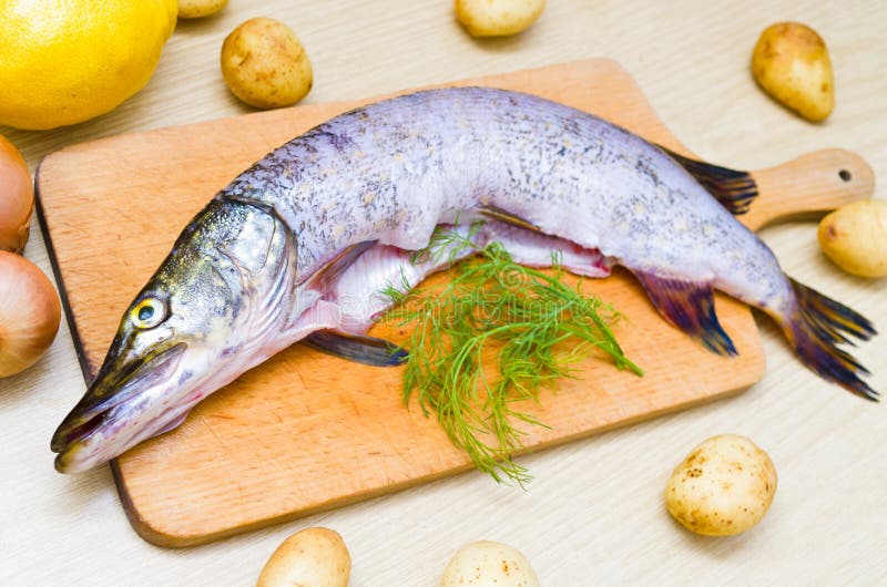 Pike stock photo. Image of marine, appetizer, cooked - 25196396