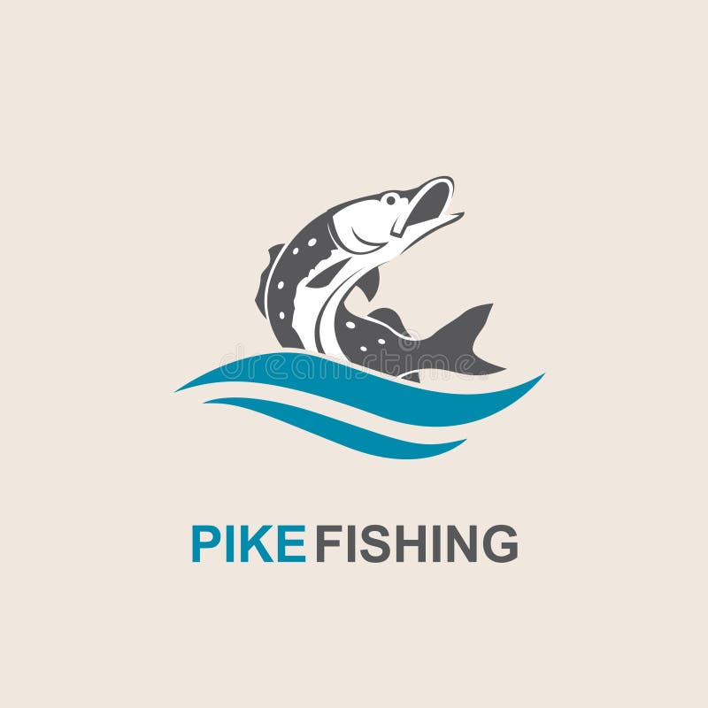 Pike fish icon stock vector. Illustration of vector, shop - 97767065
