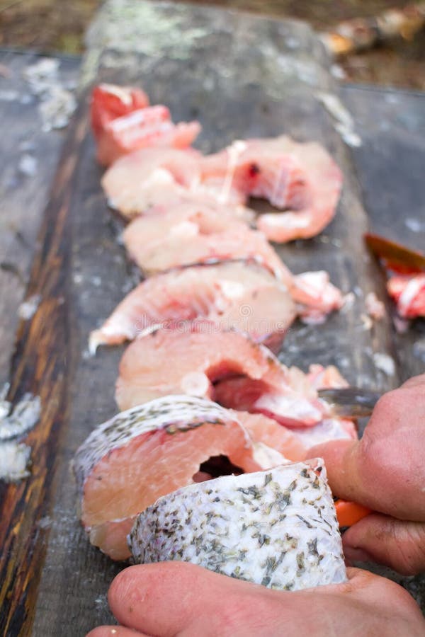 Pike fish meat for cooking stock photo. Image of life - 57576472