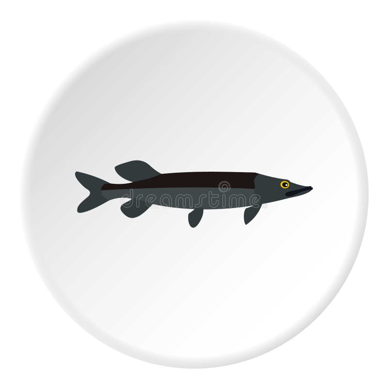 Pike icon, flat style stock vector. Illustration of predator - 79269279