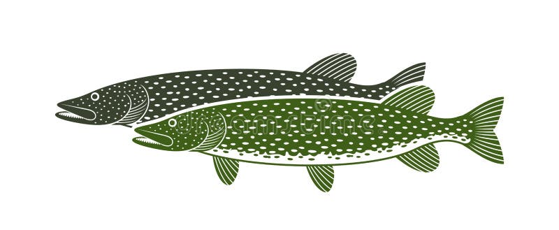 Pike Logo. Isolated Pike on White Background Stock Vector ...