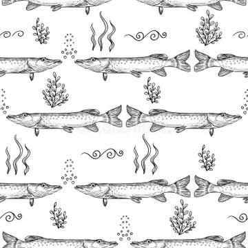 Pike. Seamless Pattern of Pike Stock Vector - Illustration of hand ...