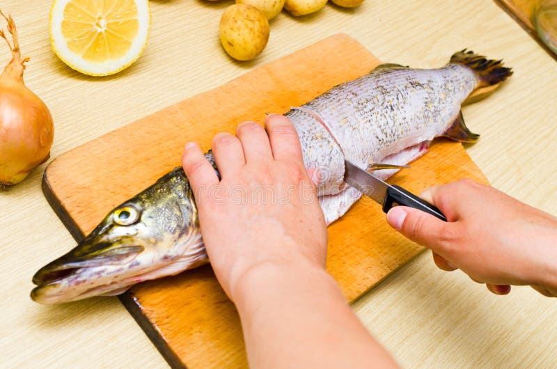 Pike during the Preparation Stock Photo - Image of dill, diet: 25197784