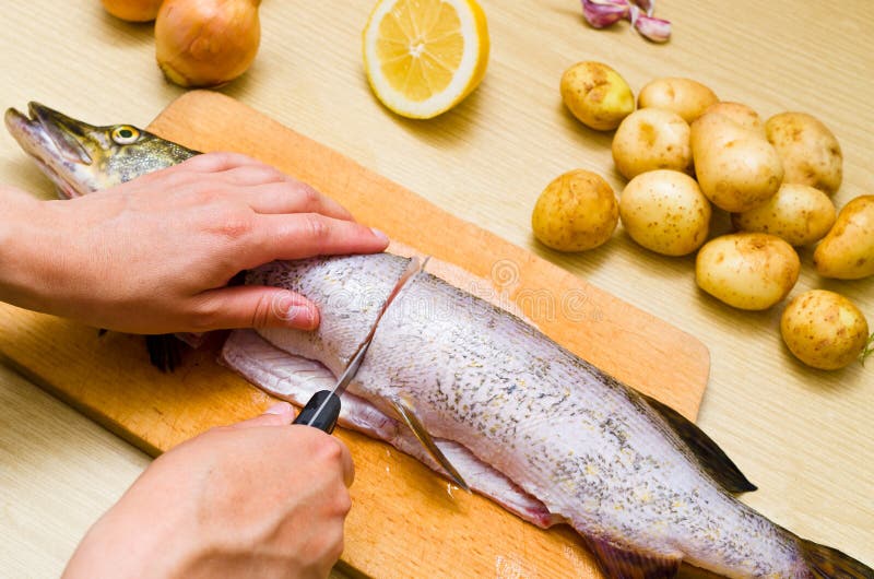 Pike during the Preparation Stock Image - Image of cook, food: 25770075