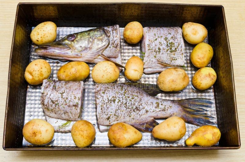 Pike ready to baking stock photo. Image of dinner, lunch - 25197176