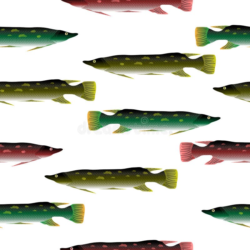 Pike. Seamless Pattern of Pike Stock Vector - Illustration of hand ...