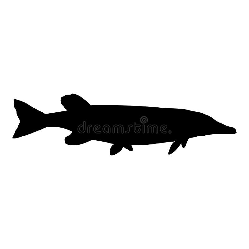 Pike Silhouette Fish Vector Illustration Stock Vector - Illustration of ...