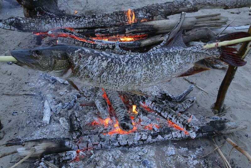 The Spit - Fishing Bridge Gold Coast, Australia Stock Photo - Image of ...