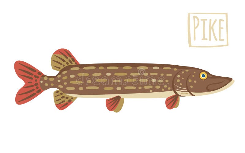 Pike Stock Illustrations – 9,309 Pike Stock Illustrations, Vectors ...