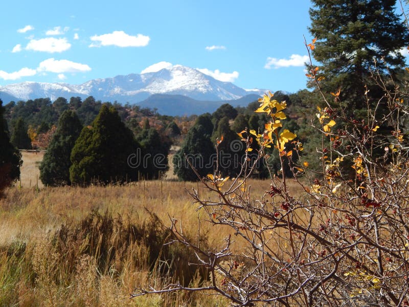 Pikes Peak Fall stock image. Image of snow, leaves, trees - 52798999