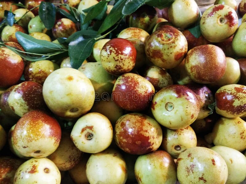 La Pila De Azufaifa Da Fruto Centrado Y Aislado En El Fondo Blanco ...