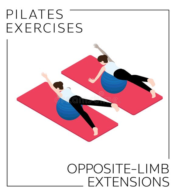 Pilates Ball Exercise Opposite-Limb Extension Pose Vector Stock Vector ...