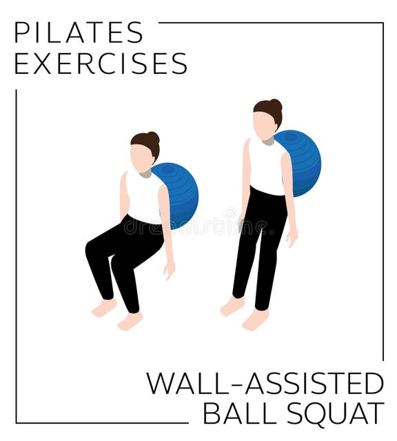 Pilates Ball Exercise Wall-Assisted Squat Pose Vector Stock Vector ...