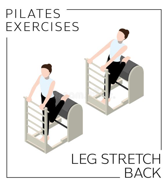 Pilates Exercise Leg Stretch Back on Ladder Barrel Vector Stock Vector ...