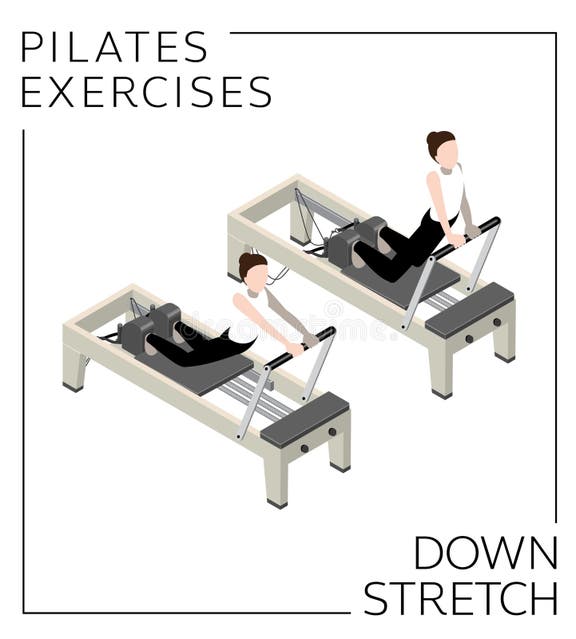 Pilates Exercise Pose Down Stretch on the Reformer Vector Stock Vector ...
