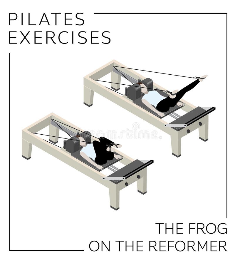 Pilates Exercise Pose Set the Frog on the Reformer Vector Stock Vector ...