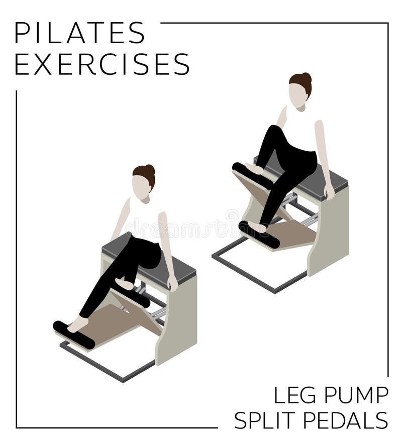 Pilates Exercise Pose Set Leg Pump Split Pedals on the Chair Vector ...