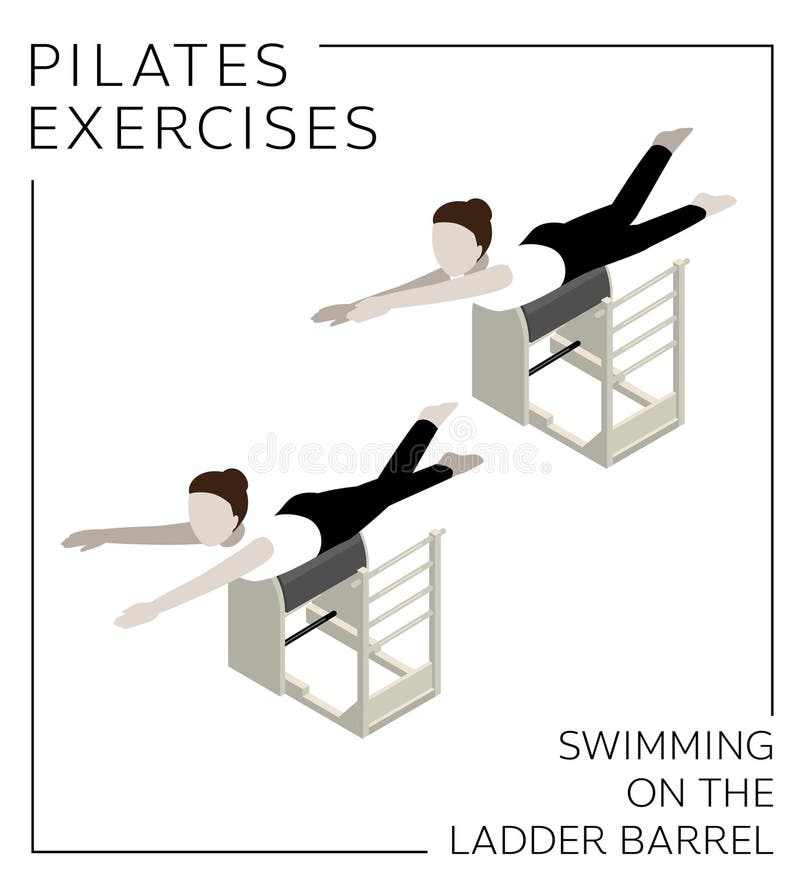 Pilates Exercise Pose Set Swimming on the Ladder Barrel Vector Stock ...