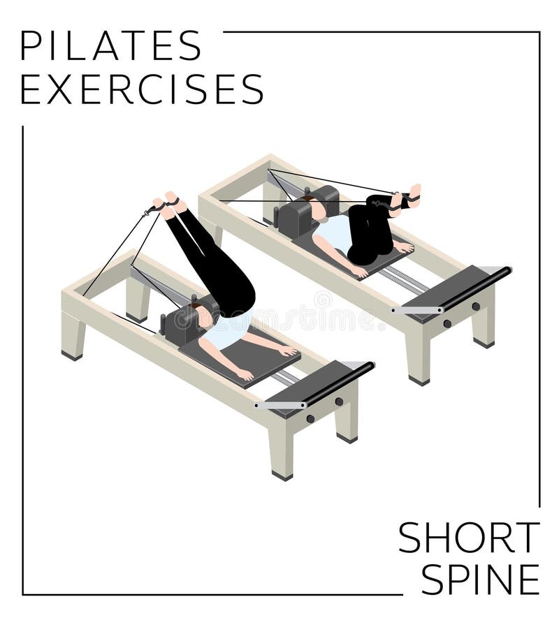 Pilates Exercise Pose Short Spine on the Reformer Vector Stock Vector ...