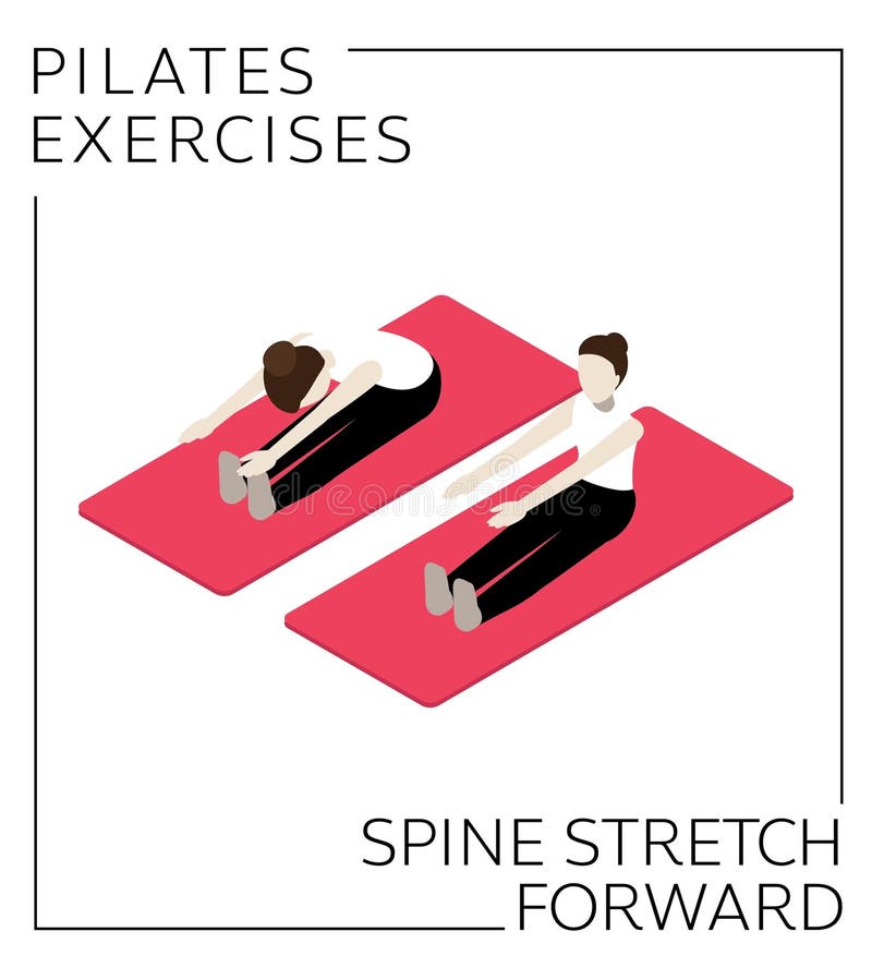 Pilates Spine Stretch Forward Pose Exercise Isometric Set Vector Stock ...
