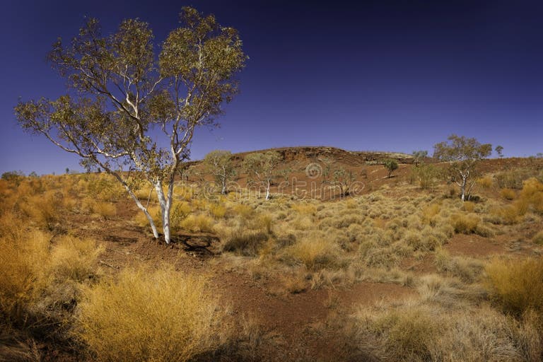 Aboriginal Pilbara Stock Photos - Free & Royalty-Free Stock Photos from ...