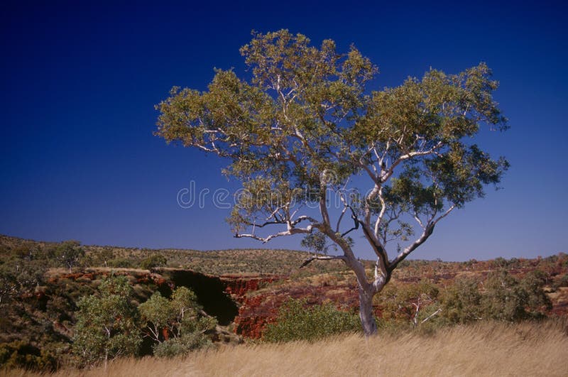 The Pilbara Region in Western Australia Stock Photo - Image of remote ...