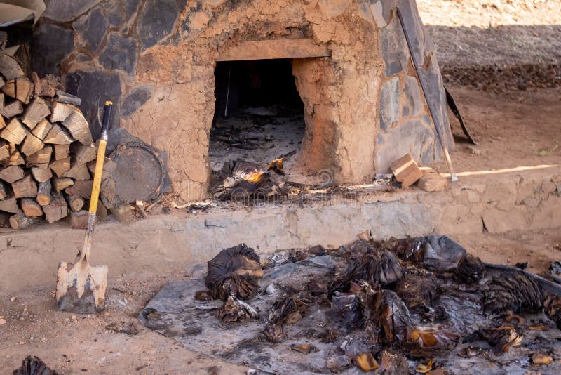 Agave Fire Stock Photos - Free & Royalty-Free Stock Photos from Dreamstime