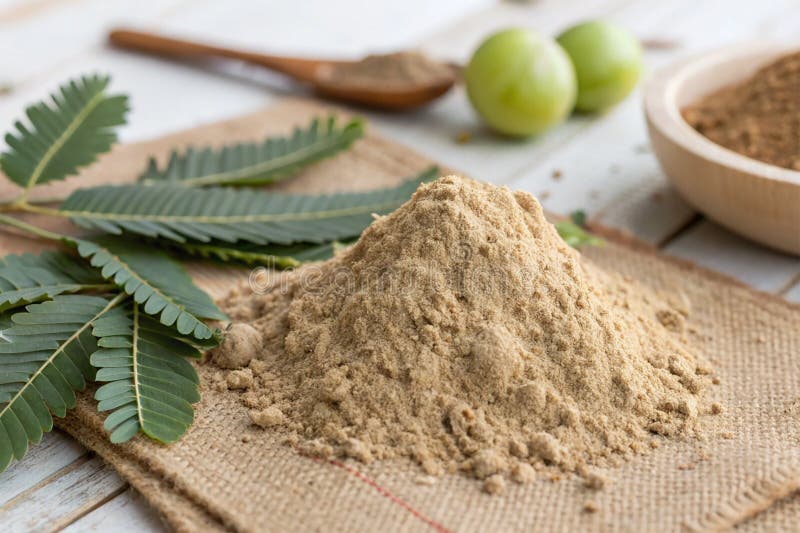 A Pile of Amla Powder with a Sprig of Leaves Stock Illustration ...