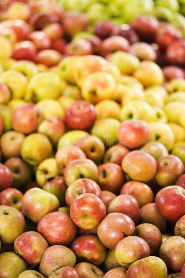 Pile of apples. stock photo. Image of autumn, 071015a0274 - 3615104