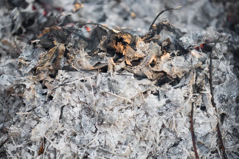 Pile of Ashes after the Fire. Ash Texture Stock Image - Image of nature ...