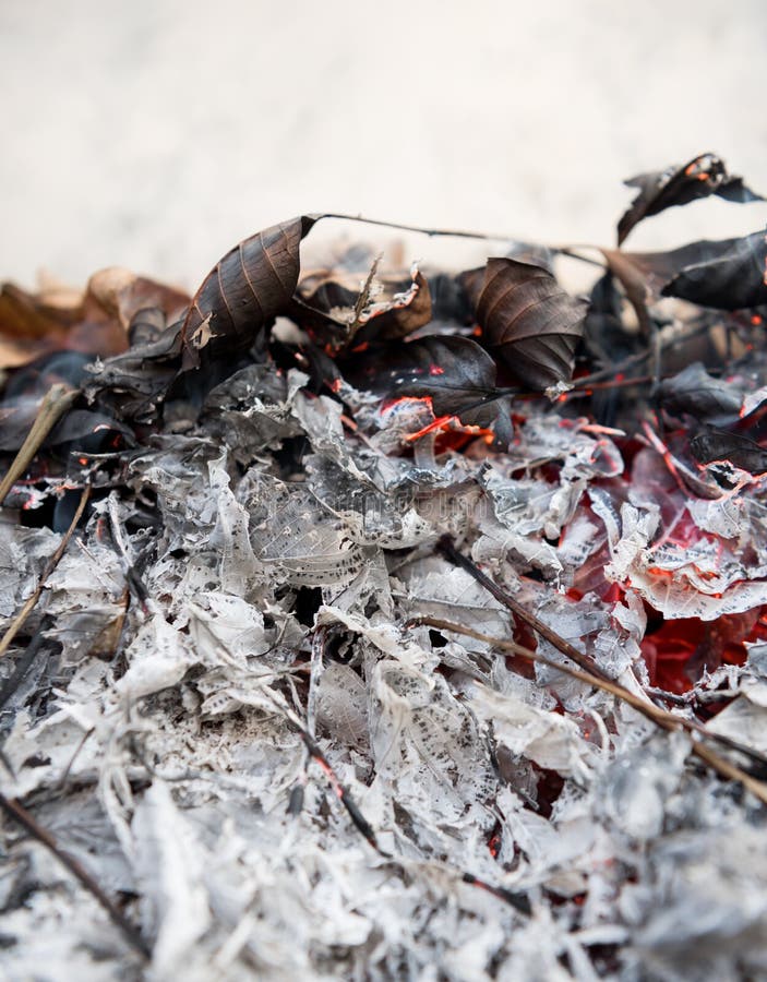 Pile of Ashes after the Fire. Ash Texture Stock Photo - Image of ...