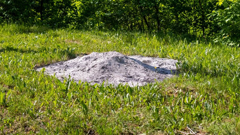 Pile of Ashes on Green Grass on a Sunny Grass Day Stock Photo - Image ...