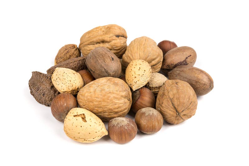 Pile of Assorted Nuts in the Shell Isolated Over White Stock Photo ...