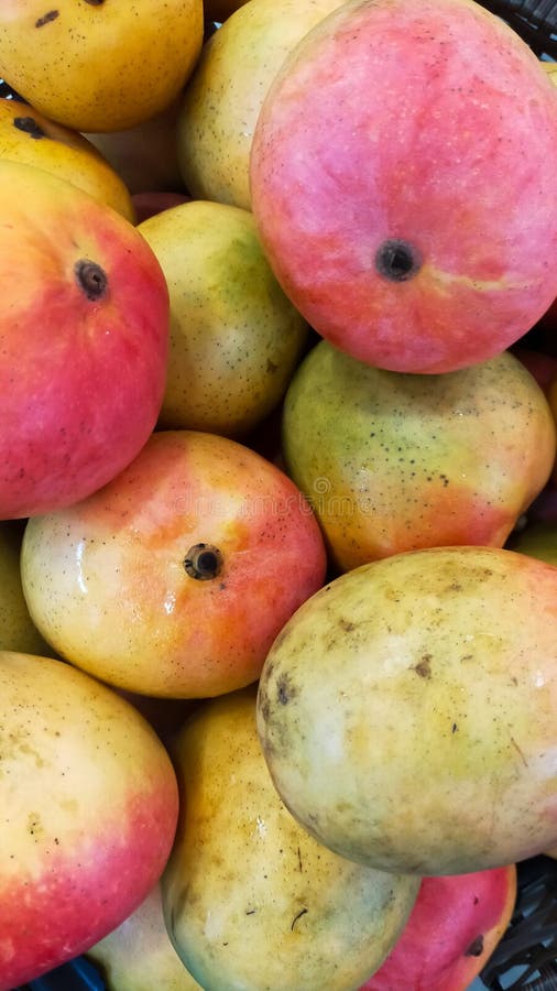 264 Mango Display Supermarket Stock Photos - Free & Royalty-Free Stock ...