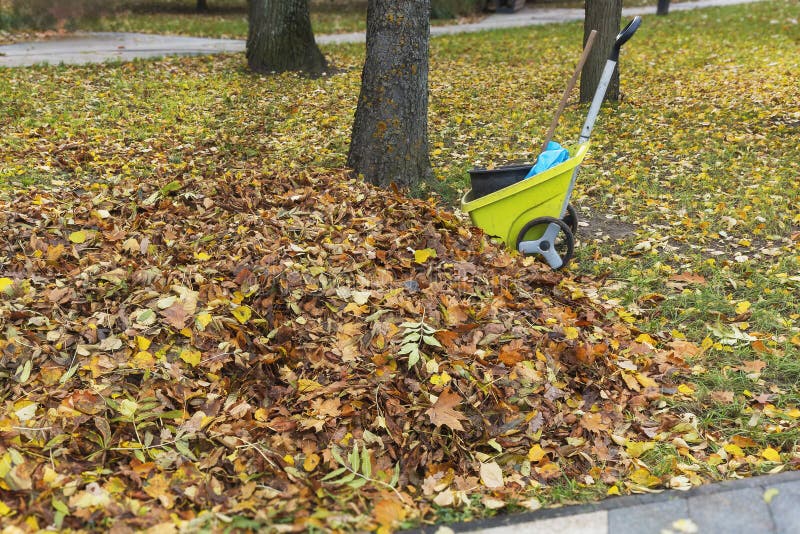 Pile of Autumn Leaves with Tools Close Up Stock Photo - Image of ...