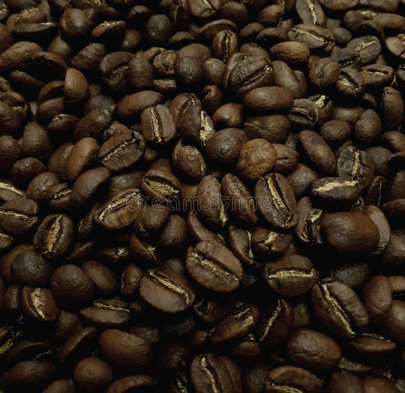 Pile of Bali Kintamani Coffee Beans Stock Image - Image of vegetable ...