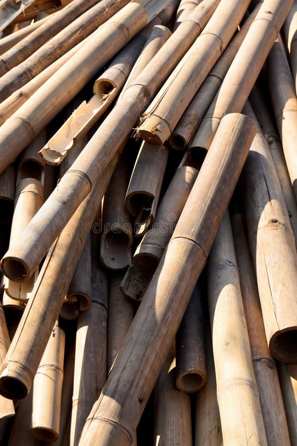 A pile of bamboo log stock photo. Image of asia, backdrop - 25088182