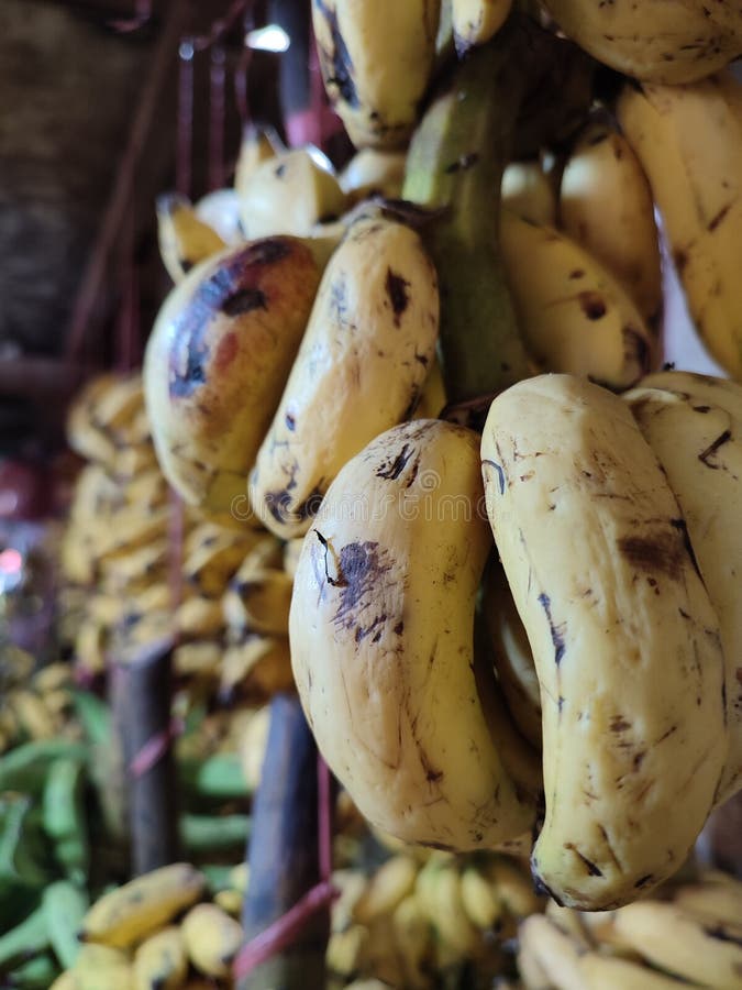Pile of Bananas, Ripe, Yellow and Fresh. Stock Photo - Image of closeup ...
