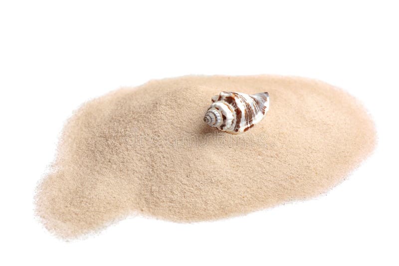 Pile of Beach Sand with Sea Shell on White Stock Image - Image of ...