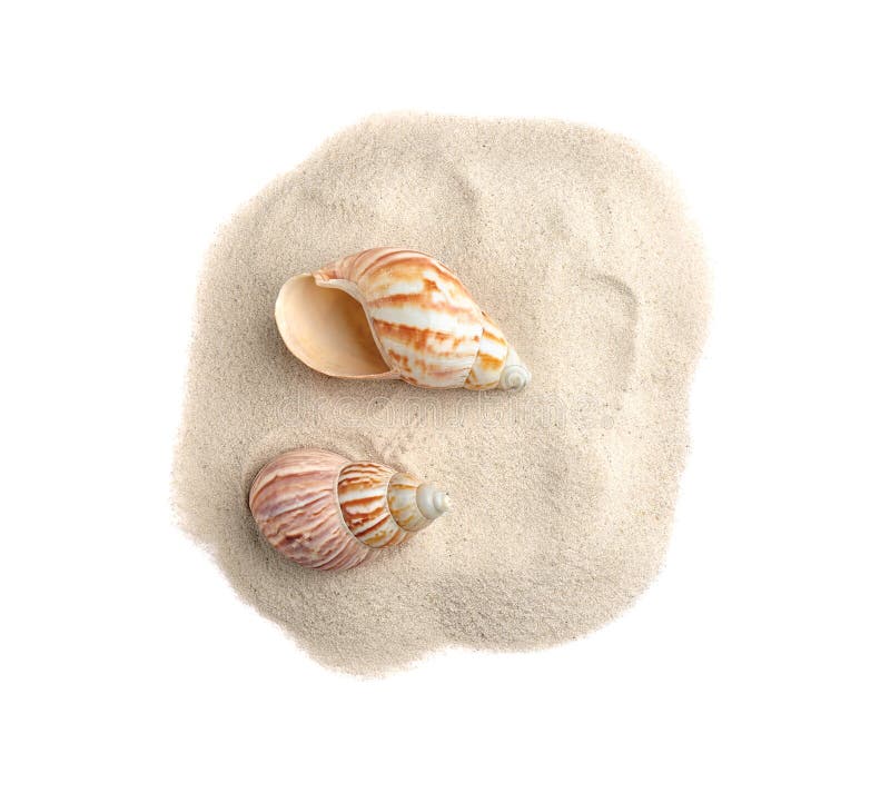 Pile of Beach Sand with Sea Shells on White, Top View Stock Image ...