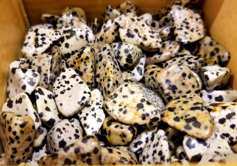 A Pile of Beautiful Dalmation Jasper Mexico Natural Stones Stock Photo ...